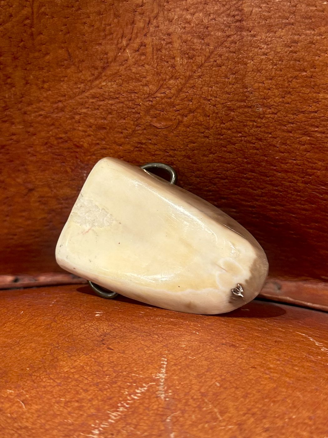 Vintage Antler Belt Buckle – DESERT MOSS VINTAGE