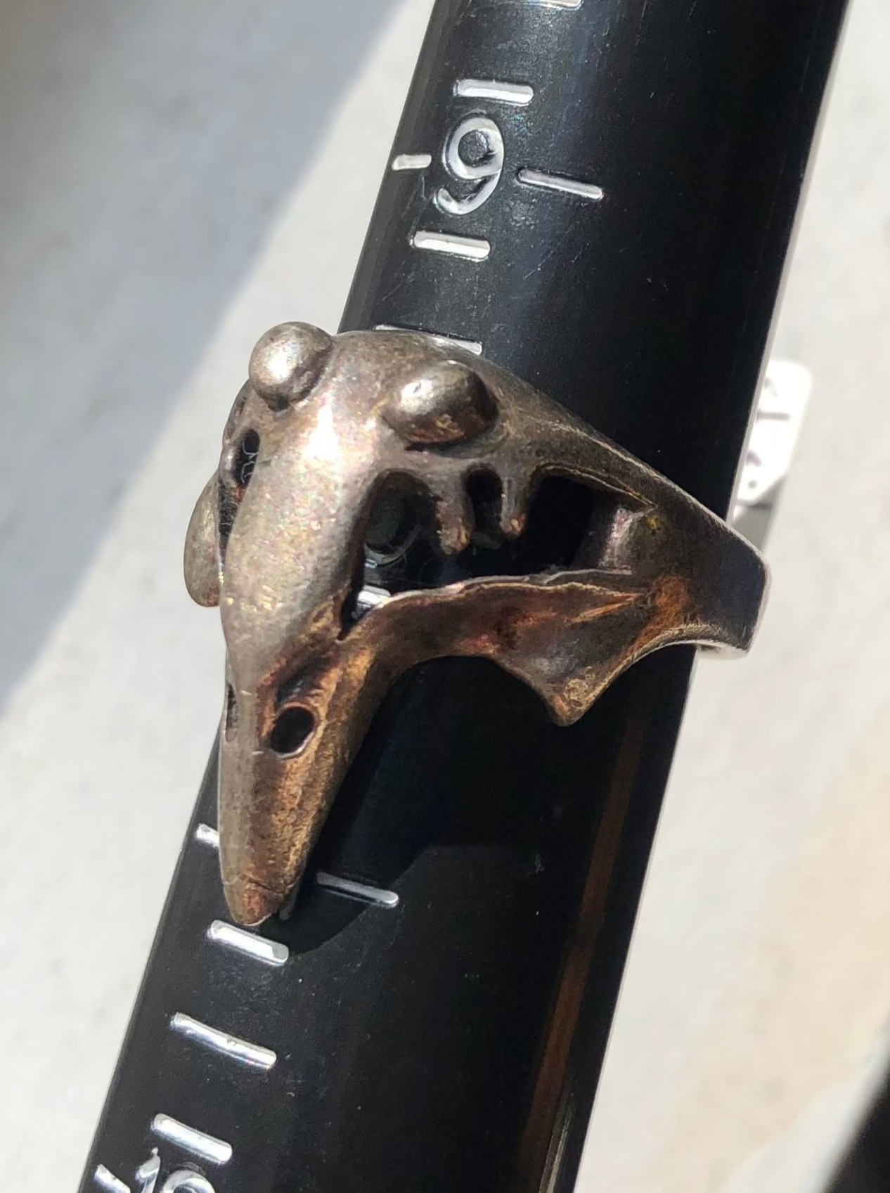 Sterling Silver Crow Skull Ring – DESERT MOSS VINTAGE